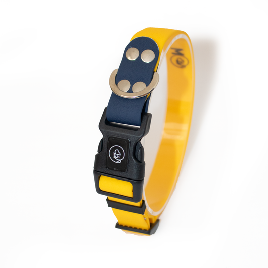 COLLAR IMPERMEABLE – EVIEIRAPETS